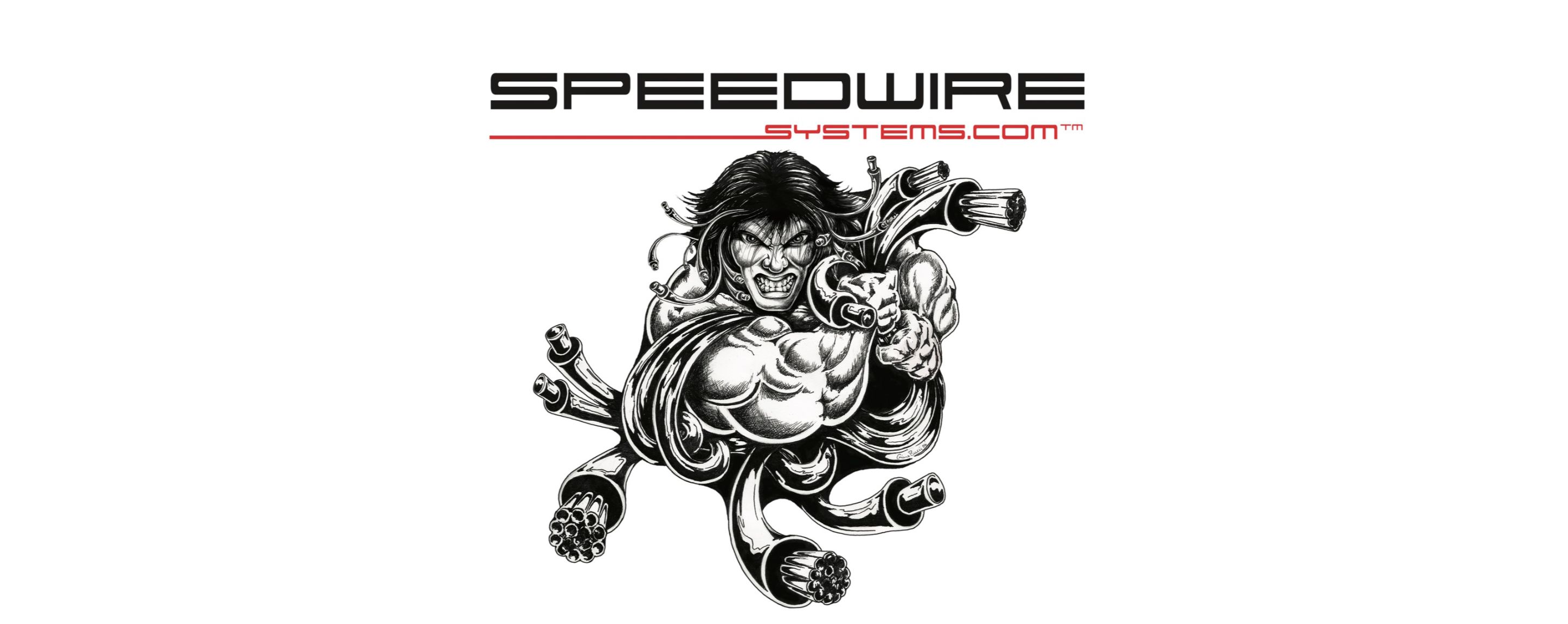 Speedwire Systems – Harness Your Power